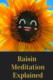 The raisin meditation: All you ever wanted to know. - Mindfulness Based ...