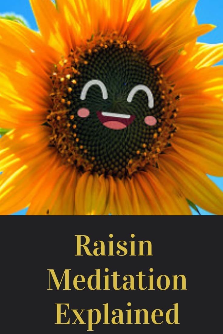 The raisin meditation: All you ever wanted to know. - Mindfulness Based ...